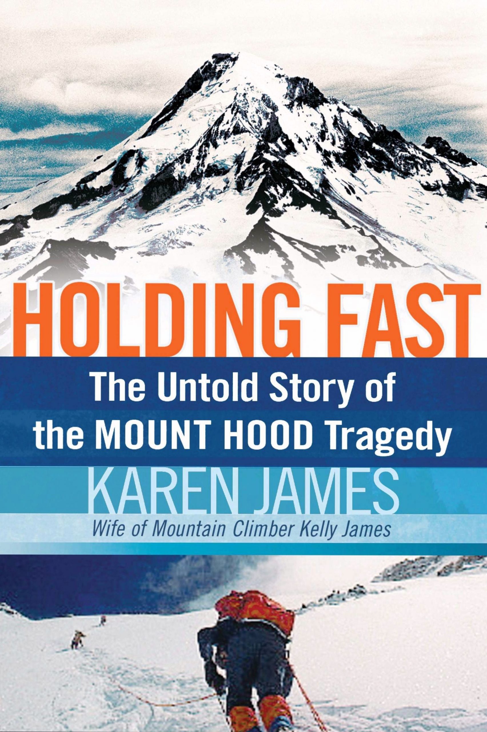Holding Fast book by Karen James